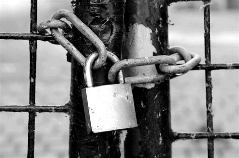 Which Ssl Certificate Should I Buy Free Vs Paid Ssl Certificates