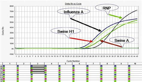 Panel A Real Time Pcr Ampli Fi Cation Plot For Novel H1n1 In Fl Uenza