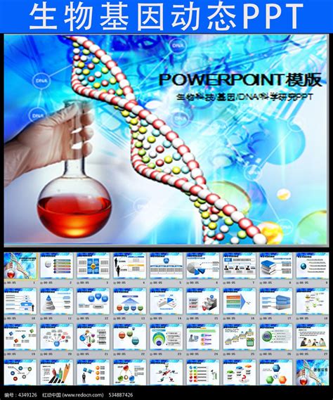 Dna Ppt