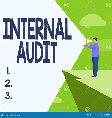 conceptual display internal audit business overview evaluates the