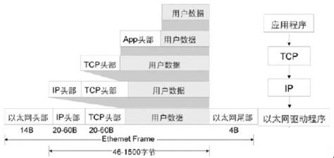 Linux网络编程协议详解