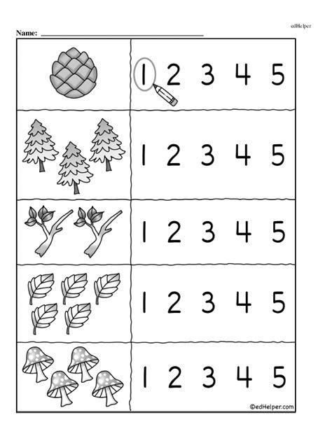 Numbers To 5 Math Chapter Workbook
