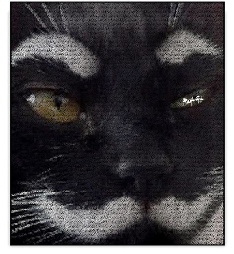 Black And White Cat Art Print