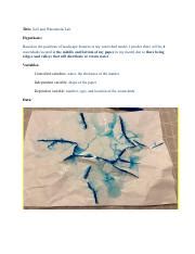 Understanding Watersheds In A Lab Setting Course Hero