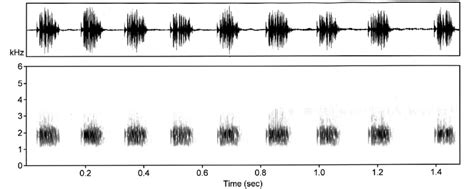 wave form above and spectrogram below of a sequence of 9 notes from