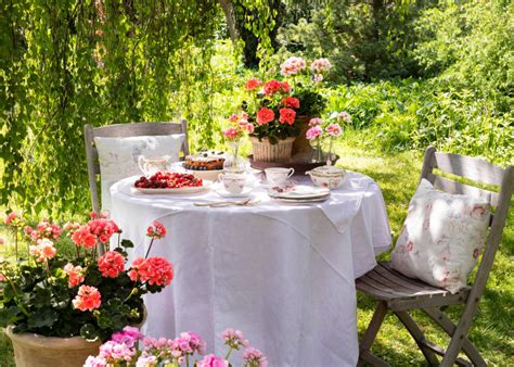 Kompozycje z pelargoniami inspiracje na strefę relaksu pełną kwiatów Zielony Ogródek
