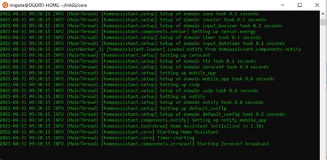 stuck on starting zeroconf broadcast configuration home assistant