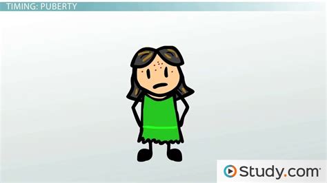 Ovarian Cycle Animation