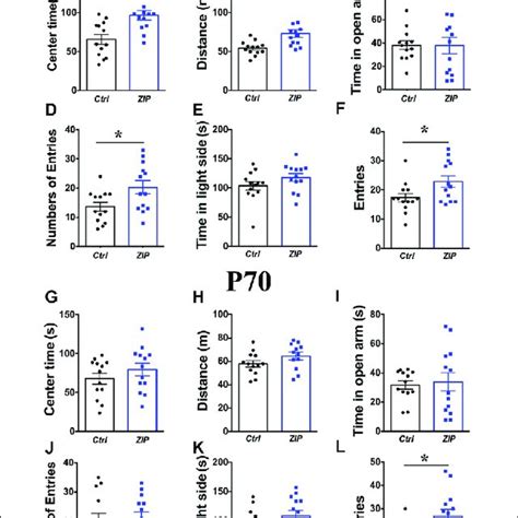 The Level Of Protein Kinase Mζ Pkmζ In Vpa Mice A Sample Images
