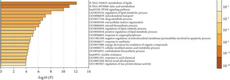 Biological Process Of Go Ontology As Well As The Kegg And Reactome Download Scientific Diagram