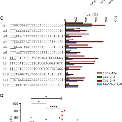 Analysis Of Cas12j 8 Activity A Schematic Of The Cas12 Expression