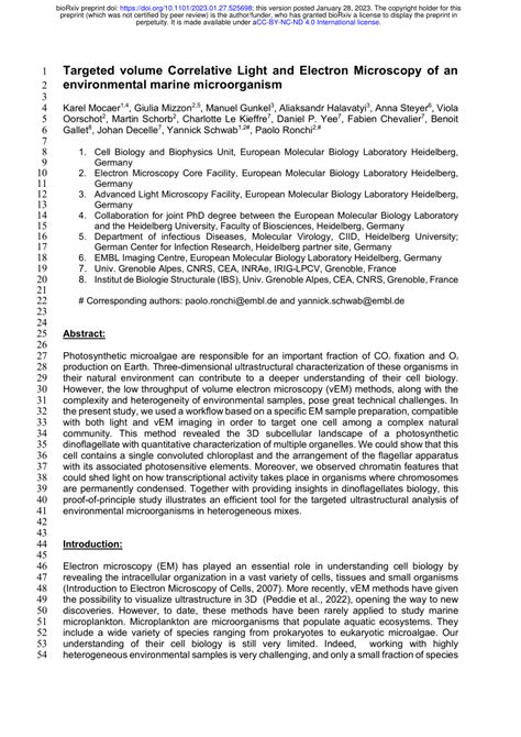 Pdf Targeted Volume Correlative Light And Electron Microscopy Of An Environmental Marine