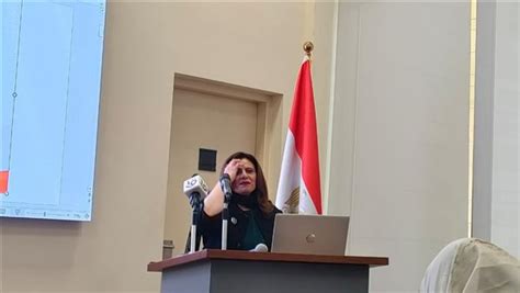 وزيرة الهجرة تأسيس شركة المصريين بالخارج برأس مال مليار دولار
