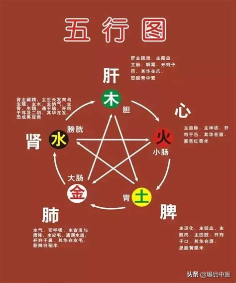 入门中医必读一文读懂五行学说