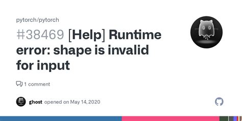 Help Runtime Error Shape Is Invalid For Input · Issue 38469