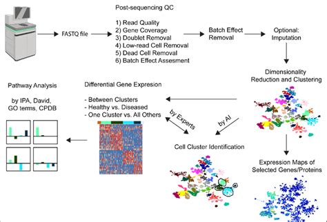 bioinformatic analysis workflow of cellular indexing of transcriptome