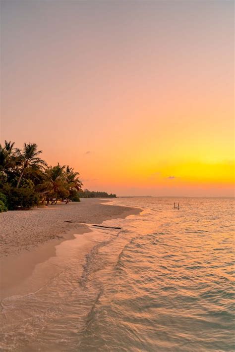 Asad Photo Maldives 사진