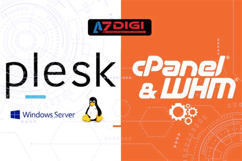 Plesk Cpanel Which Control Panel Should You Choose
