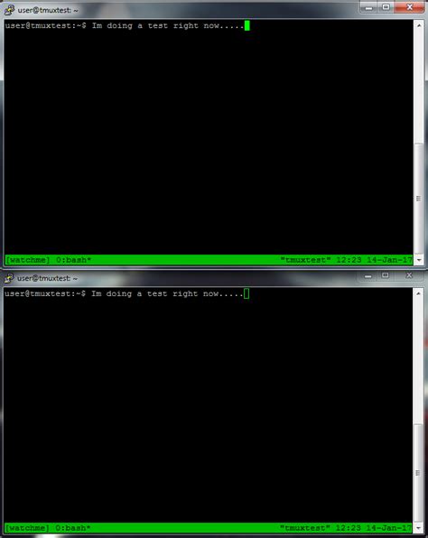 Getting Started With TMUX Das Blinken Lichten