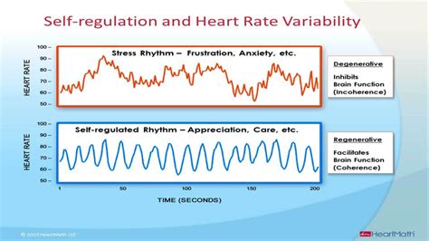 Biofeedback Therapy Training Modalities Uses And Devices