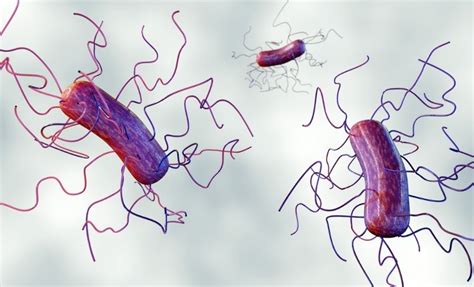 Clostridioides Difficile Infection Evidence Based Approaches For
