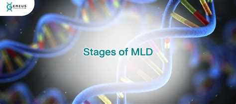 What Is Mld Metachromatic Leukodystrophy A Genetic Disorder Impacting All Body Systems