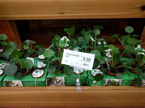 [nj] Trader Joes In Edgewater Has These Right Now 8 99 R