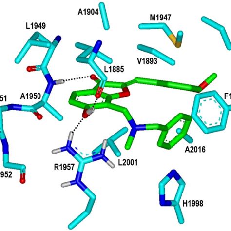 Comparative View Of The Binding Modes Of Inhibitors 1 6 In The