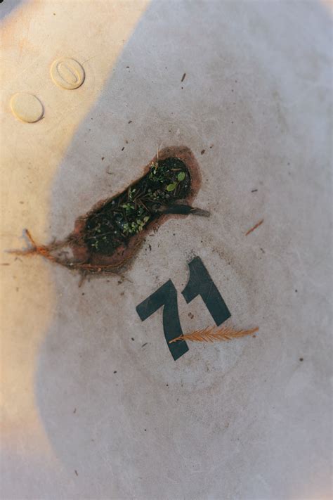 Free picture: Texture of plastic with hole and with seventy one number ...