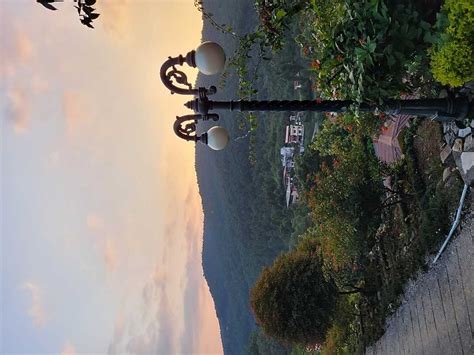 Tree of Life Resort Dehradun Foothills 𝗕𝗢𝗢𝗞 Dehradun Resort 𝘄𝗶𝘁𝗵 𝗙𝗥𝗘𝗘 𝗖𝗮𝗻𝗰𝗲𝗹𝗹𝗮𝘁𝗶𝗼𝗻