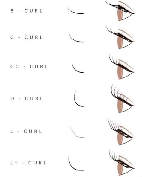 Do You Like Which Curl 睫毛 まつげ