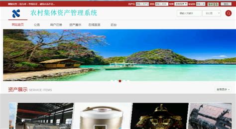 jsp农村集体资产管理系统h5716 计算机毕业设计 2599毕设网 计算机专业毕业设计 毕设源码 免费毕业生设计 免费毕设 毕业设计成品 毕