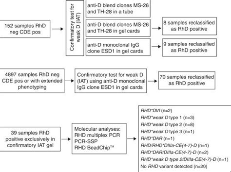 Flowchart For The Serological And Molecular Confirmatory Rhd Tests