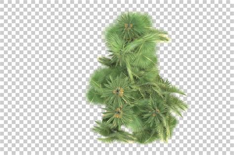 透明な背景の 3 D レンダリング図に分離された熱帯の島 プレミアムpsdファイル