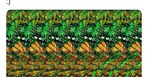 This Is An Autostereogram Album On Imgur