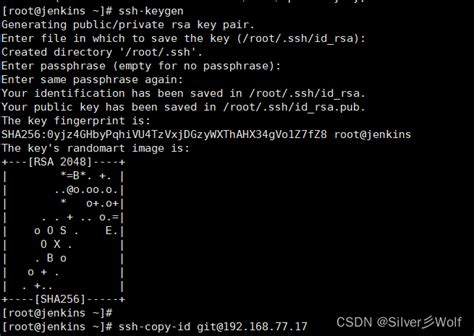 小白到运维工程师自学之路 第七十九集 （基于jenkins自动打包并部署tomcat环境）1jekens运维 Csdn博客