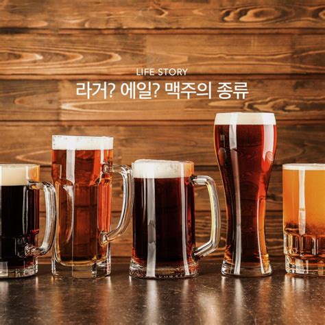 Life Story 라거 에일 맥주의 종류 네이버 블로그