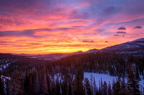 Photo Gallery Spring In The Rmnp Estes Park Trail Gazette
