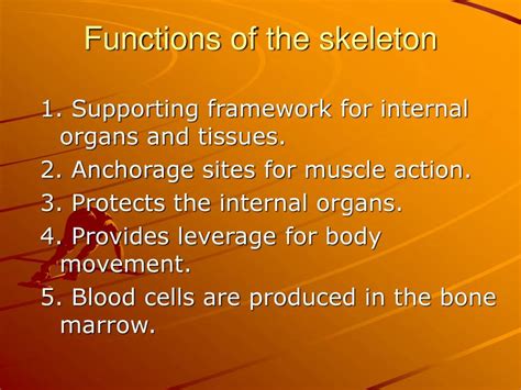 basic science powerpoint slides learnpick india