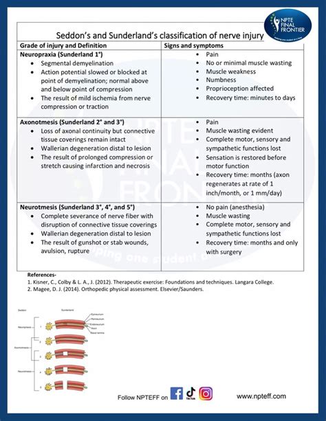 Seddons And Sunderlands Classification Of Nerve Injury