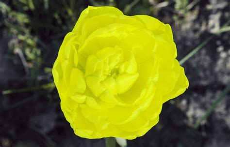 Annotating With Polygons Best Practices Unidatapro