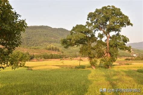 孤臣腔血滿，死不愧廬陵——走馬文天祥故里 每日頭條
