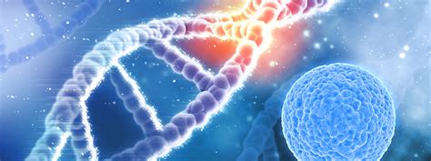Molecular Pathology Hope And Heal Cancer Hospital And Research Center