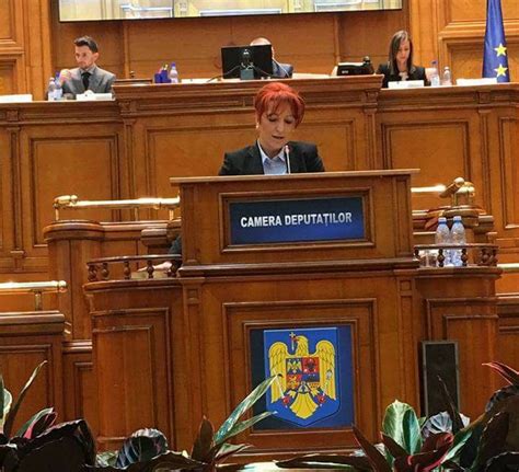 Politica Broastei Oana Vlăducă deputat PSD Iohannis comportament de șef de partid Suntem