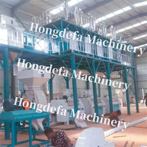 High Quality Maize Processing Line Grain Processing Maize Flour