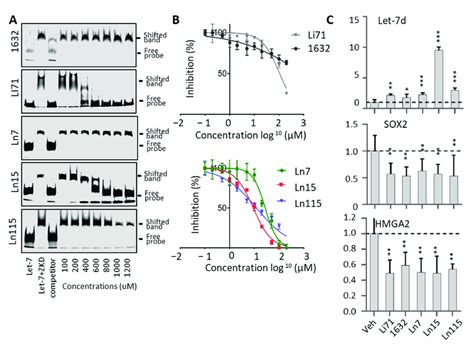 Lin28 Inhibitors Block The Lin28a Isoform A Emsa Used 10 Nm Of