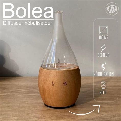 Conseils Pour Bien Choisir Son Diffuseur Par N Bulisation