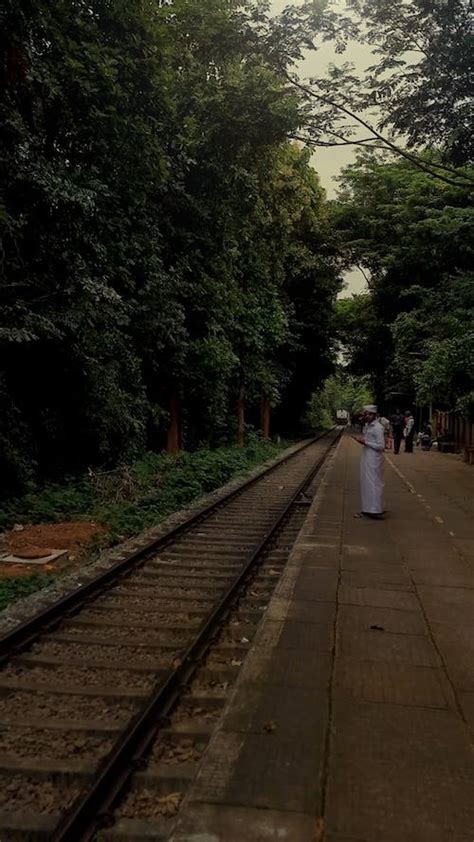 有关丘陵 亞洲 公路旅行 农村公路 南印度 印度 印度风景 可持续农业 喀拉拉邦 多雲的 天性 寧靜 山站 山路