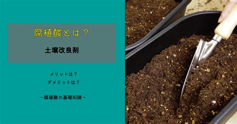 土壌改良肥料腐植酸とは いきあたりバタリ