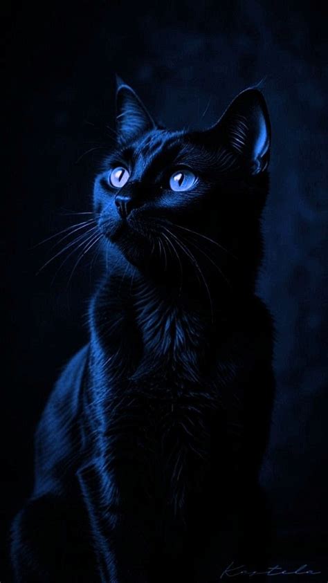 Pin By Océane Moulin On Ateliers Océane Cat With Blue Eyes Cute